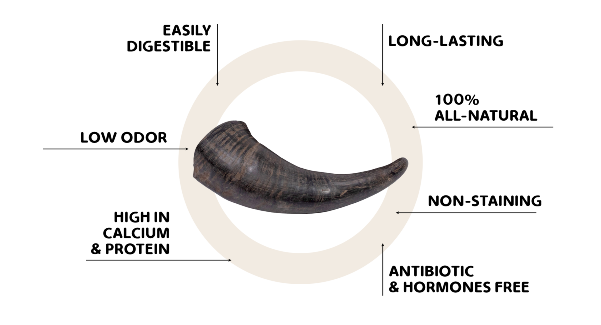 Buffalo Horn Chew - Vitality Pet Products